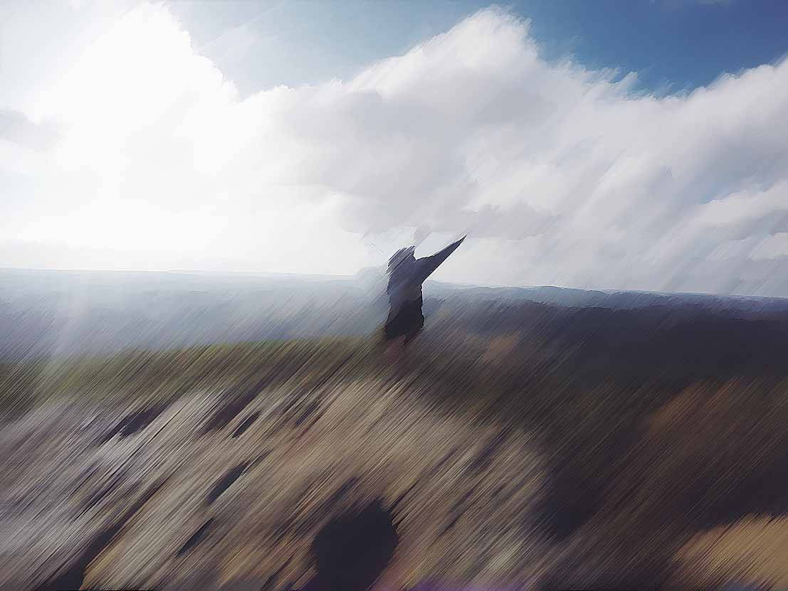 Mountain Rage | Amigo Trails Copper Canyon Experts