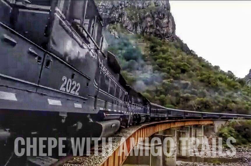 The Chepe Trains | Amigo Trails Copper Canyon Experts