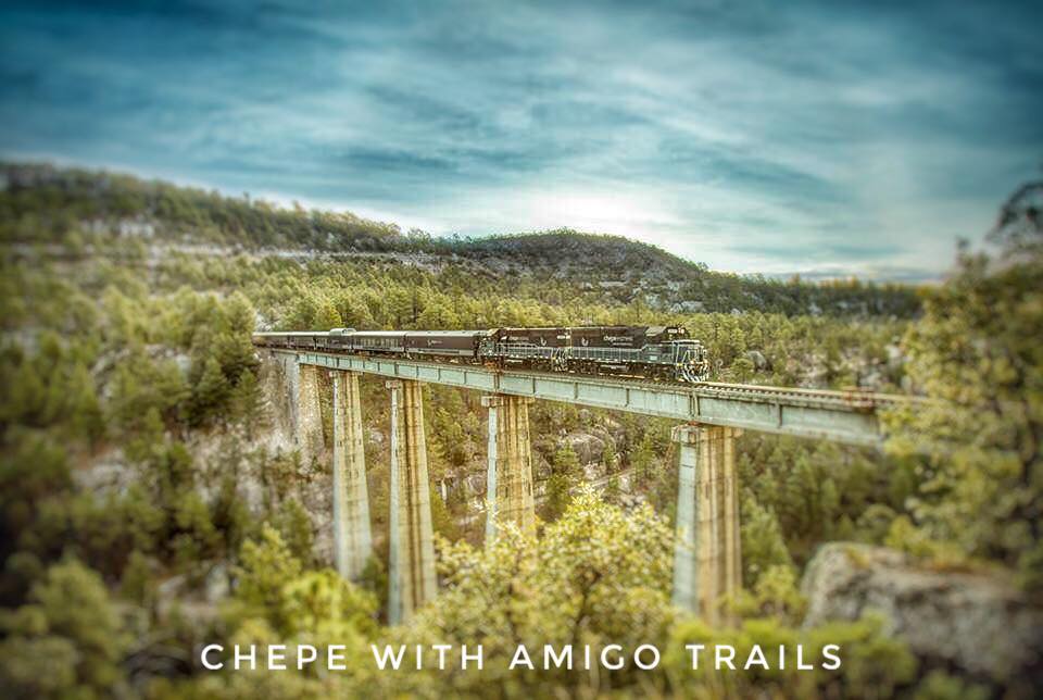 The Chepe Trains | Amigo Trails Copper Canyon Experts