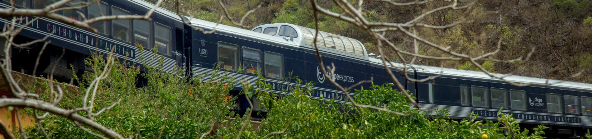 The Chepe Trains | Amigo Trails Copper Canyon Experts